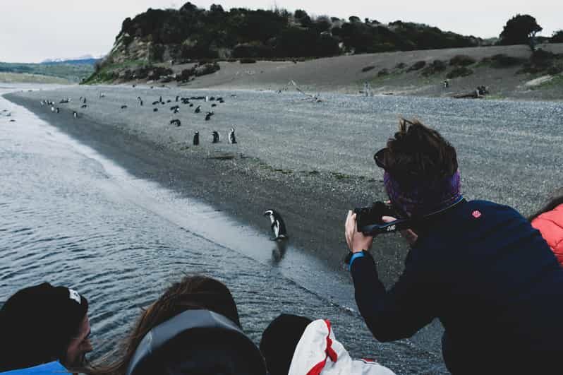 Ushuaia: Gable Island and Penguin Colony with Lunch - FAQ