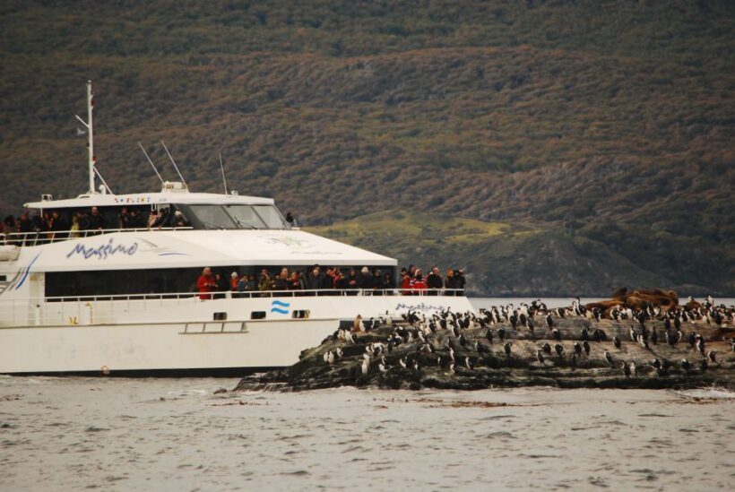 Ushuaia: Penguin Watching Tour by Catamaran - What This Tour Offers and Why It Matters