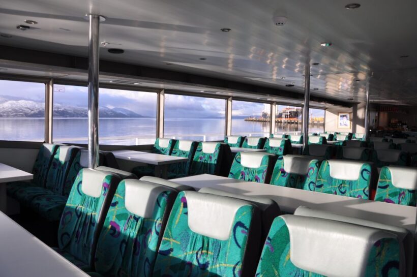 Ushuaia: Penguin Watching Tour by Catamaran - Practical Tips for Booking and Enjoying the Tour