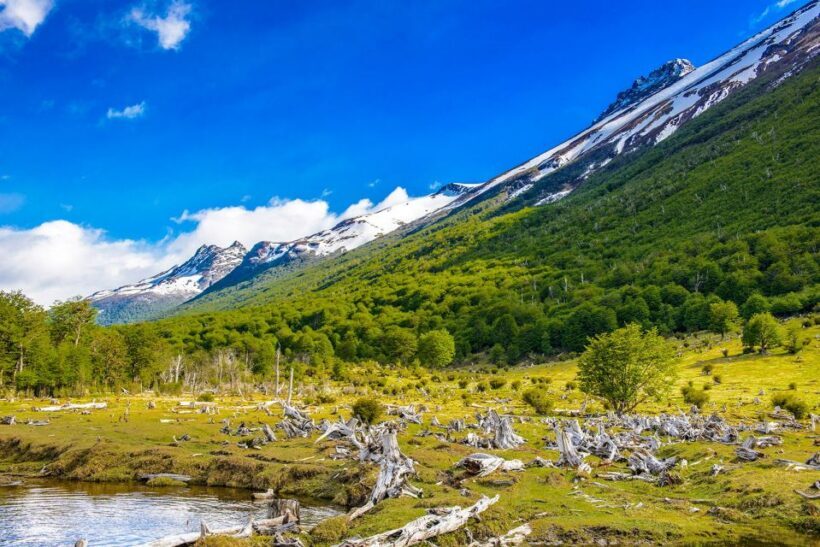 Ushuaia: Shared Experience "Tierra del Fuego" National Park - Authentic Reviews: What Travelers Say