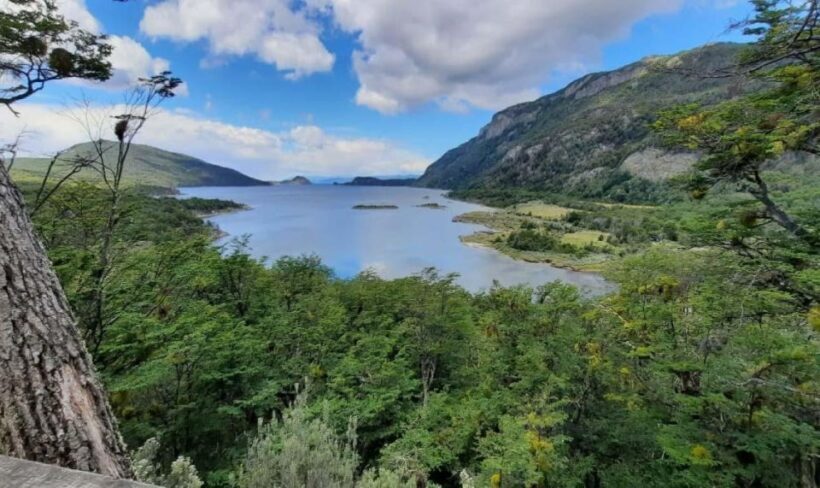 Ushuaia: Tierra del Fuego National Park Half-Day Tour - Final Thoughts