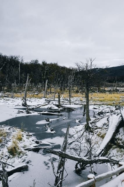 USHUAIA | Tierra del Fuego National Park & Optional Train - Key Points