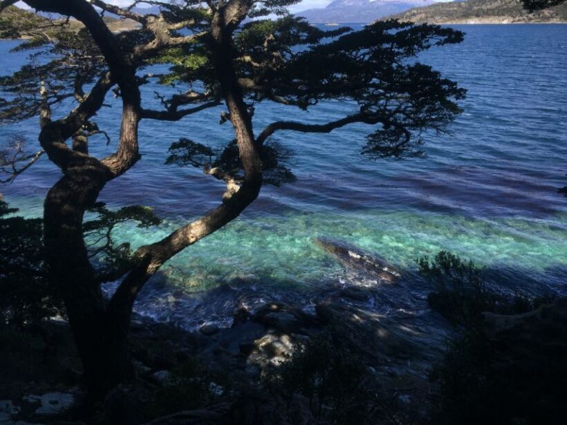 Ushuaia: Tierra del Fuego National Park Tour with Lunch - Why This Tour Offers Great Value