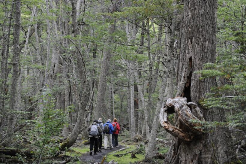 Ushuaia: Tierra del Fuego Trekking and Canoeing - Frequently Asked Questions
