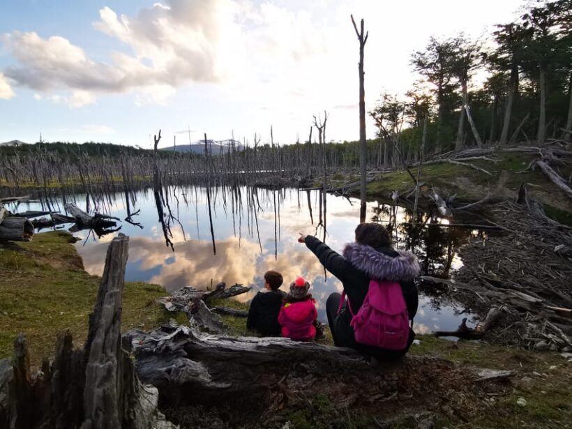 Ushuaia: Visit to Escondido and Fagnano Lakes PM - What Past Travelers Say