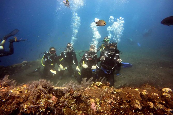 USS Liberty Shipwreck Scuba Diving at Tulamben Bali - The Experience of the Guides and the Service
