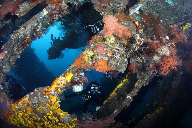 USS Liberty Shipwreck Scuba Diving at Tulamben Bali - Summary of the Trip’s Drawbacks