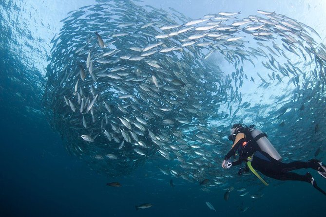 USS Liberty Shipwreck Scuba Diving at Tulamben Bali - FAQ