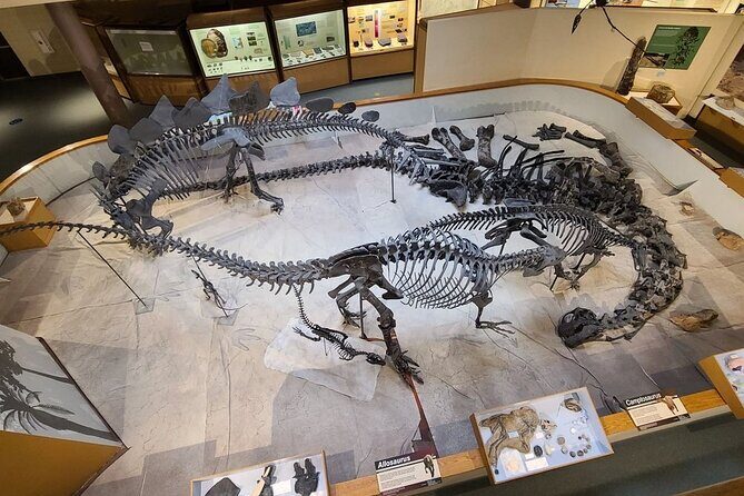 Utah & Arizona National Parks: Small Group 7-Day Tour - Day Four: Petrified Forest and Meteor Crater