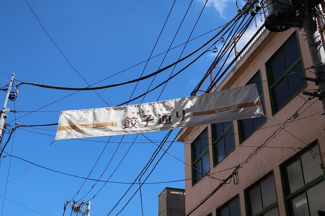 Utsunomiya Gyoza (Dumpling) Eating Tour - Tour Experience and Feedback