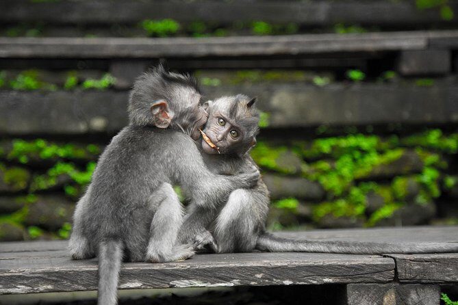 Utterly Ubud - FAQ