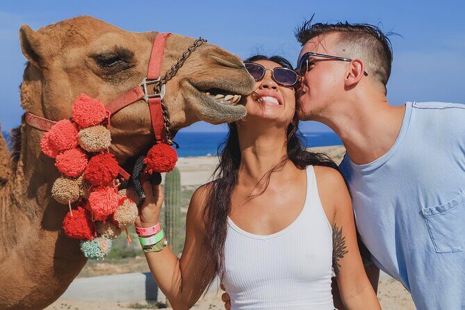 UTV Adventure + Free Camel Ride & Sky Bikes - Key Points