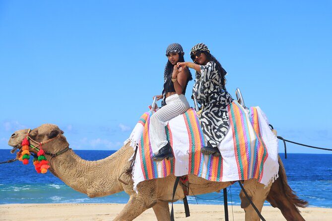 UTV Adventure + Free Camel Ride & Sky Bikes - The Sum Up
