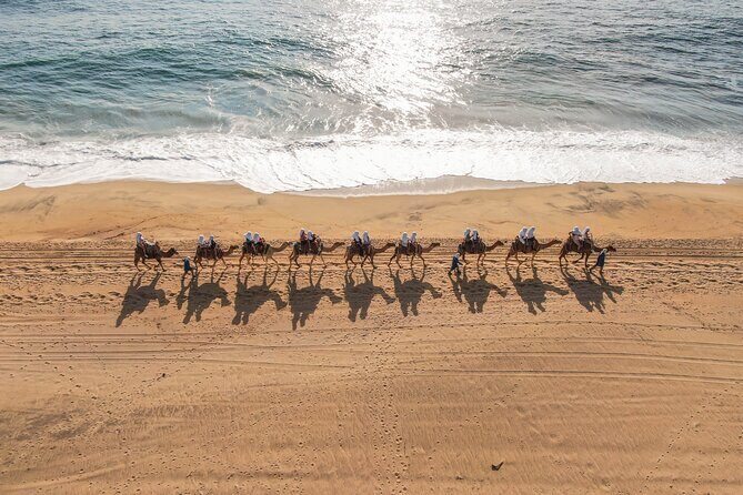 UTV and Camel Ride in the Cabo Desert - Who Will Love This Tour?