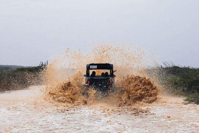 UTV Buggy Expedition in West Coast - Why Travelers Love It: Authentic Experiences and Expert Guides