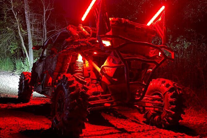 UTV/ Can Am Sightseeing Tour in Puerto Rico - Setting the Scene: What the Tour Includes