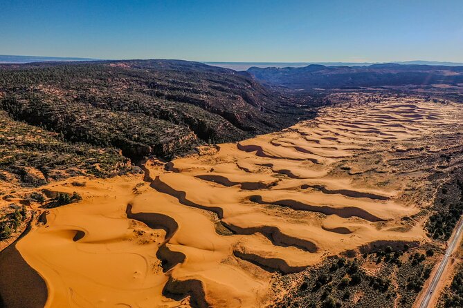 UTV Dune Cruise and Surf at Coral Pink Sand Dunes - Who Should Consider This Tour?