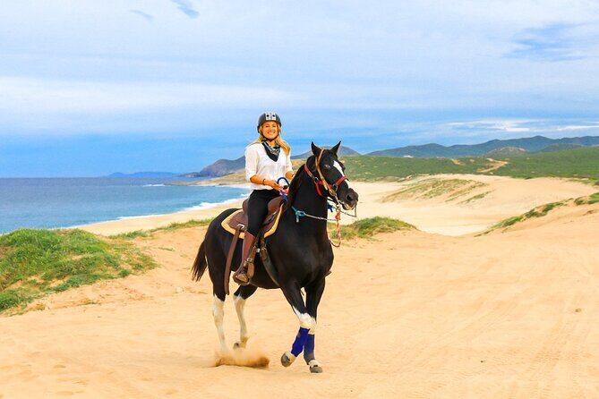 UTV, Free Horseback Ride & Sky Bikes Adventure Combo - What Makes This Tour Stand Out?