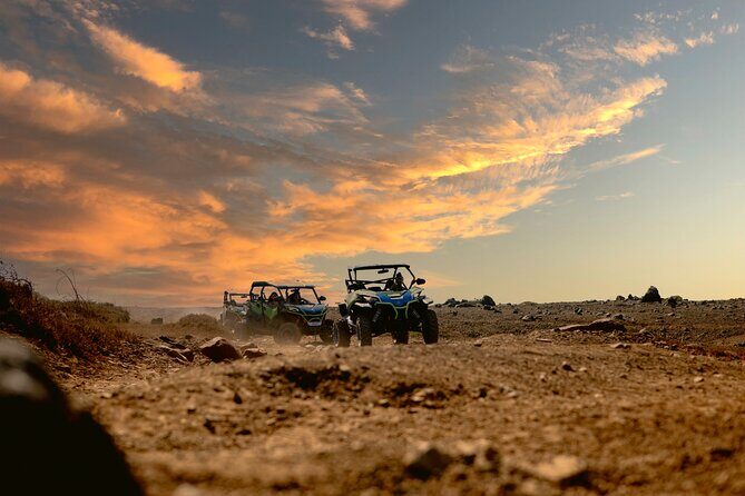 UTV Morning Tour: Discover Aruba's Hidden Treasures - The Sum Up