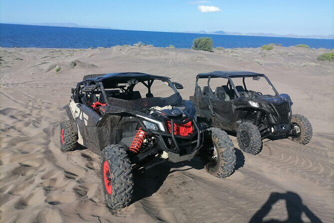 UTV Off-roading + sandboarding Adventure at the Dunes - Who Will Love This Tour?