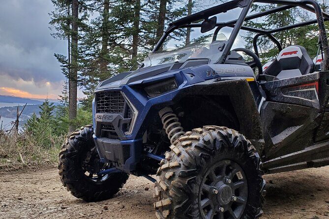 UTV Rental in North Idaho - The Sum Up