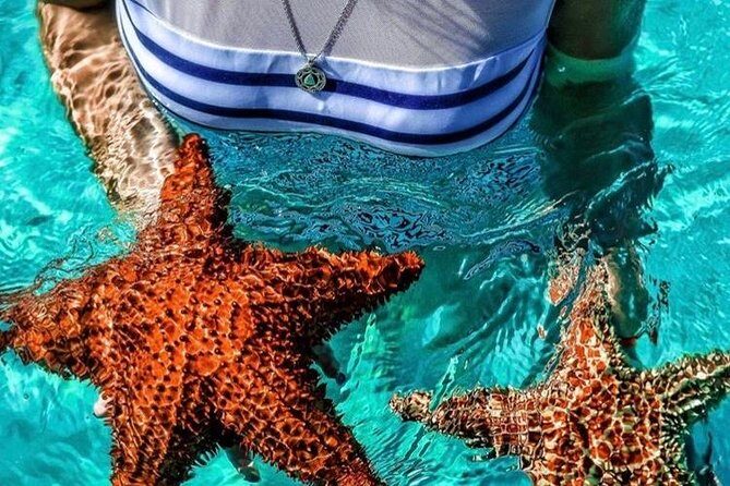 Uvero Alto Hotels - Private Round Trip from Punta Cana Airport - The Experience: A Detailed Breakdown