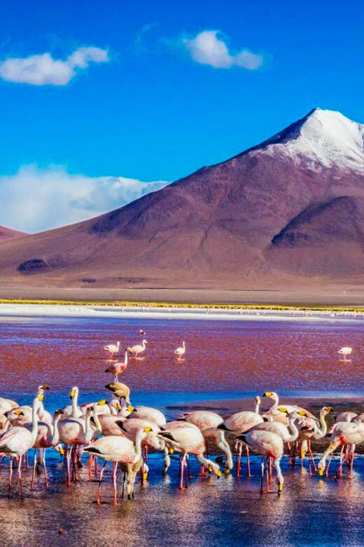 Uyuni and San Pedro de Atacama Salt Flats - Key Points