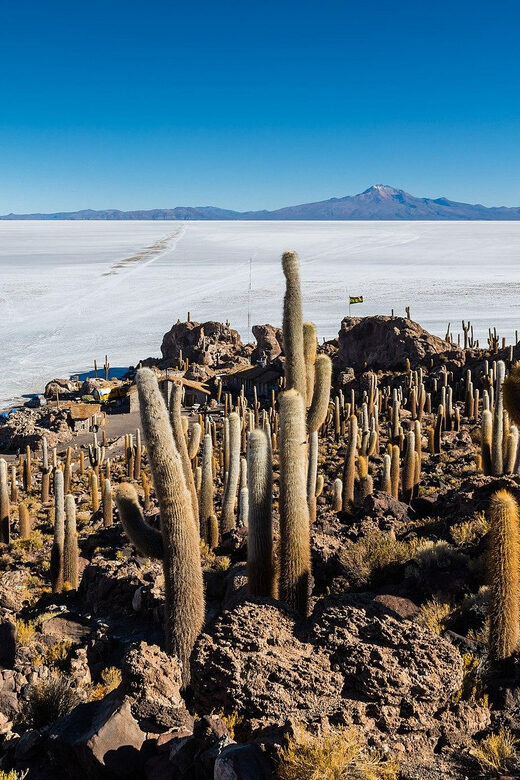 Uyuni Salt Flat and Incahuasi Island 5 days - Final Thoughts