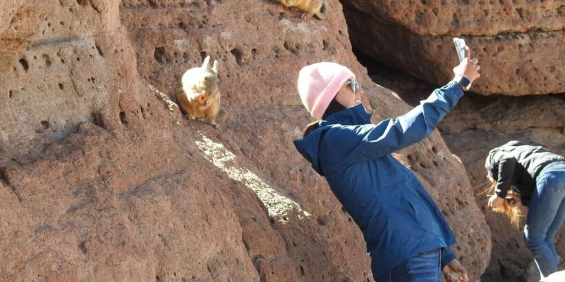 Uyuni Salt Flat Tour from San Pedro de Atacama 3D/2N+Hostal - The Sum Up