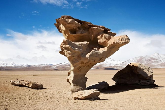 Uyuni Salt Flats (3 Days) English Speaking Guide - Traveler Reviews and Experiences