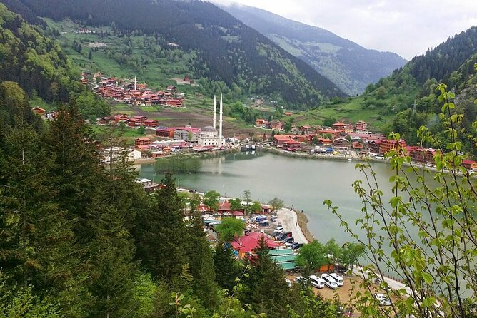 Uzungol Tour: Full-Day Nature Adventure With Tea Factory Visit - Policies and Accessibility Information