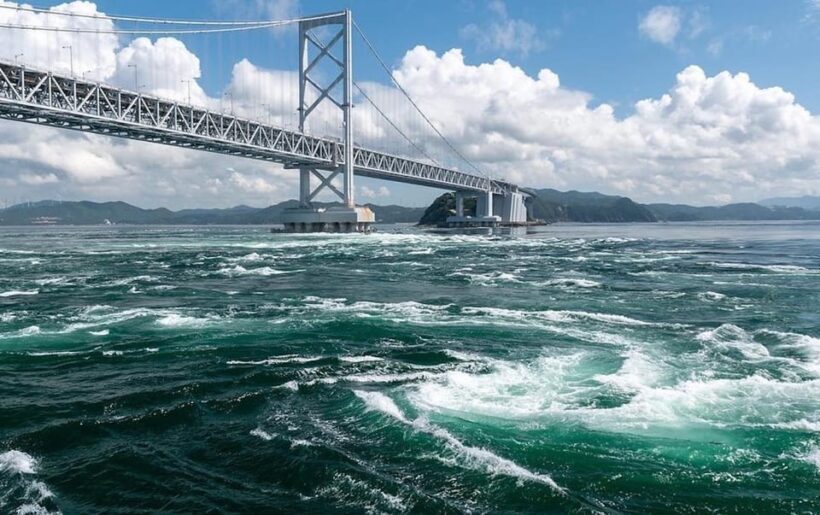 Uzushio Cruise - Who Should Consider This Tour?