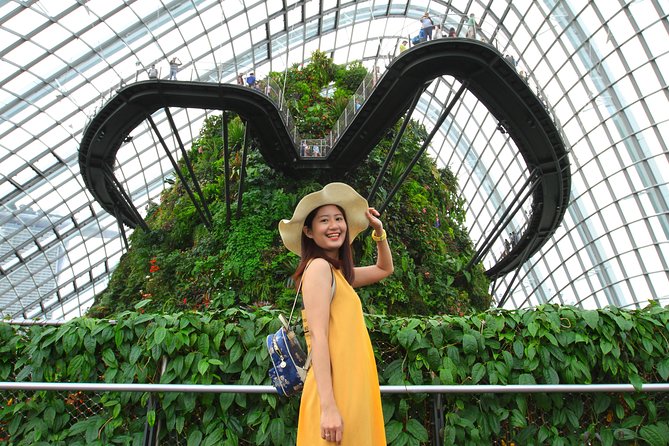 Vacation Photographer in Singapore - Final Thoughts: Is This Tour Worth It?