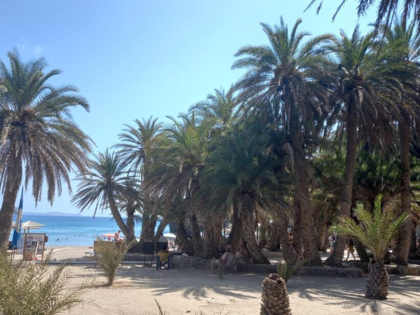 Vai Palm Beach Full Day Private Tour - Key Points