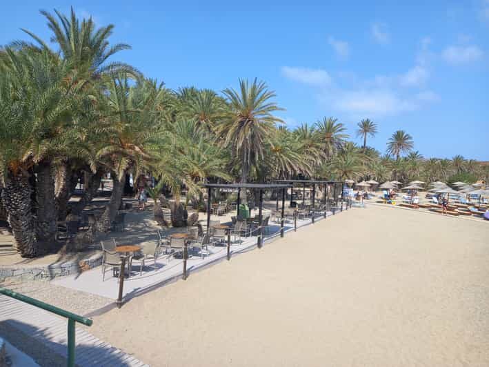 Vai Palm Beach Full Day Private Tour - What the Tour Offers: A Deep Dive