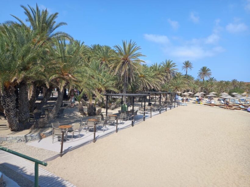 Vai Palm Beach Full Day Private Tour - Final Thoughts