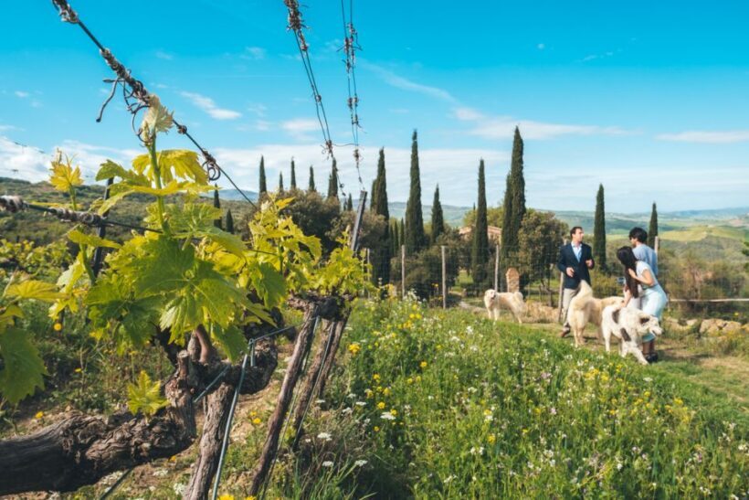 Val d'Orcia: Wine and Food Tasting at a Podere - Whats Included and Practical Details