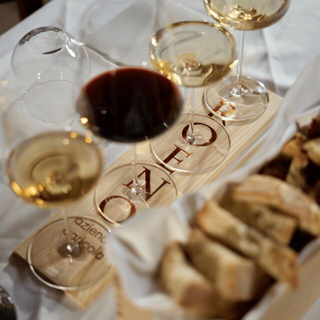 Valdadige: Roeno Guided Tour and Wine tasting - The Value of the Tour: Price & Quality