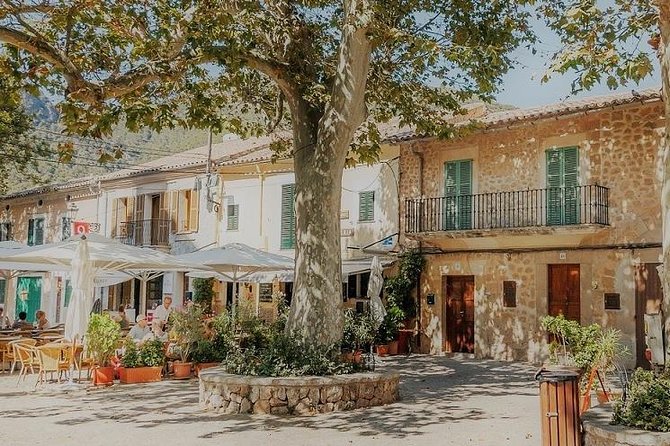 Valdemossa Half Day Tour - Key Points