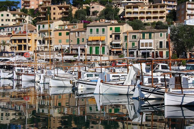 Valdemossa Half Day Tour - FAQ