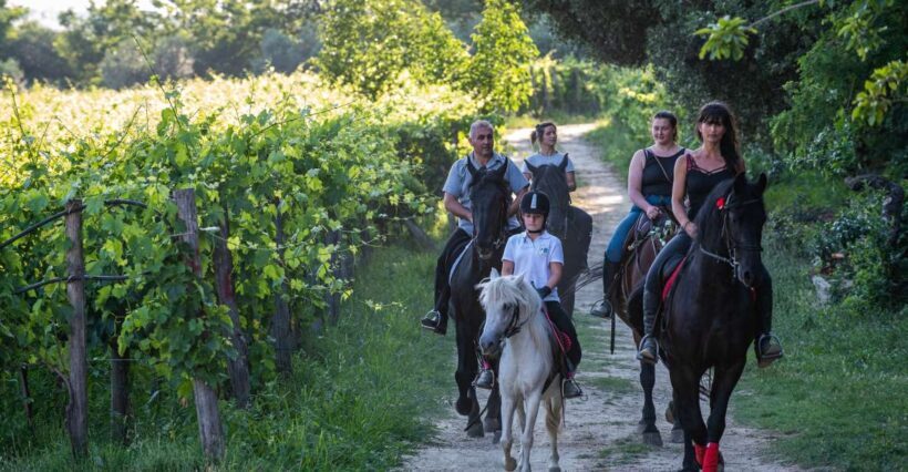 Valdichiana: Horseback Riding Tour with Tuscan Picnic - Key Points