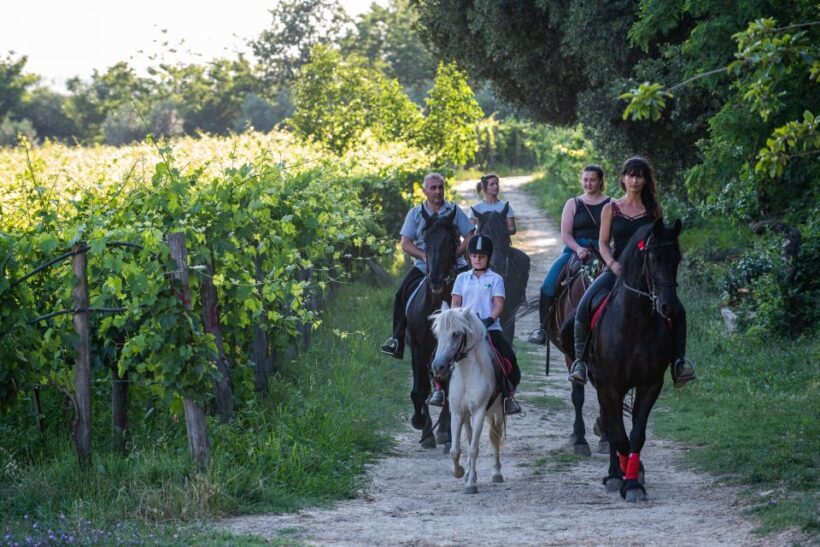 Valdichiana: Horseback Riding Tour with Tuscan Picnic - Authenticity and Value