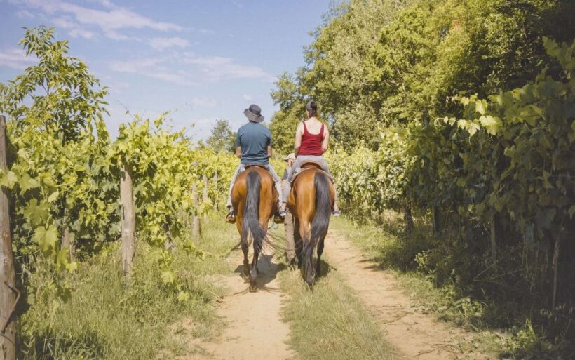 Valdichiana: Horseback Riding Tour with Tuscan Picnic - Who Will Love This Experience?