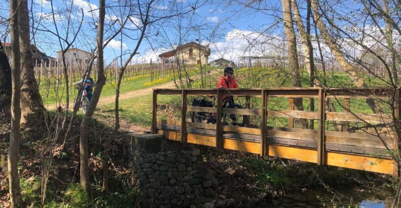 Valdobbiadene: Bike rental and Prosecco tasting - An Introduction to the Experience