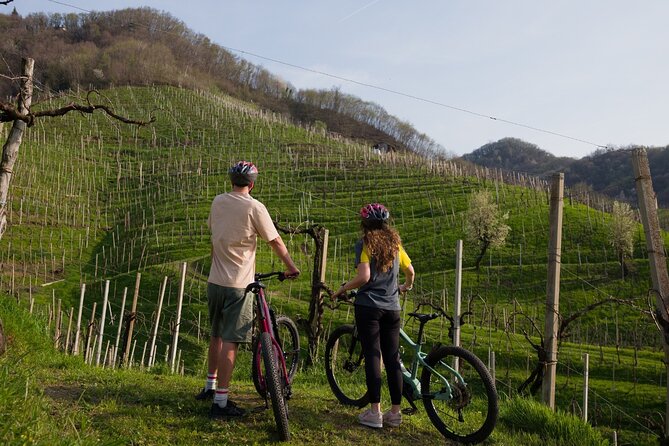 Valdobbiadene e-bike tour amongst vineyards UNESCO Prosecco Hills - Key Points