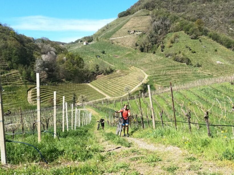 Valdobbiadene - Prosecco Hills Cycling with Sommelier - Final Summary