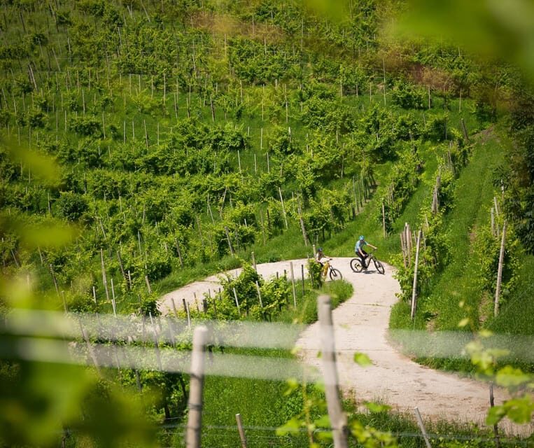 Valdobbiadene: self-guided e-bike tour in the Prosecco Hills - Key Points