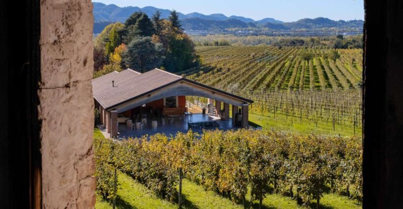 Valdobbiadene: Winery Tour with Wine and Food Tasting - Setting the Scene in Veneto’s Wine Country