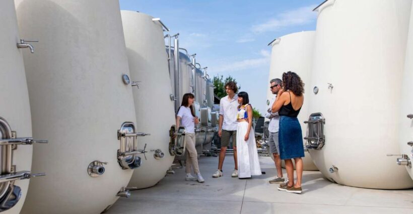 Valdobbiadene:Prosecco tasting,appetizers,winery & vineyard - Key Points