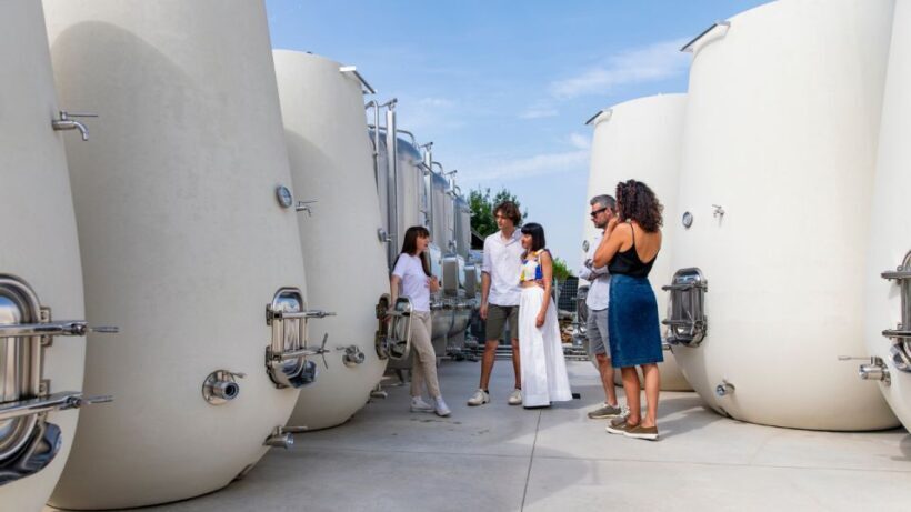 Valdobbiadene:Prosecco tasting,appetizers,winery & vineyard - A detailed look at the Prosecco experience